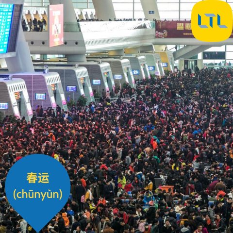Chinese New Year Migration 😲 | Numbers You Wouldn’t Believe | LTL Beihai