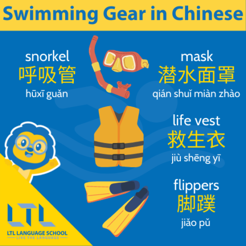 Beach in Chinese // 56 Words & Phrases (+ Bonus & Flashcards)