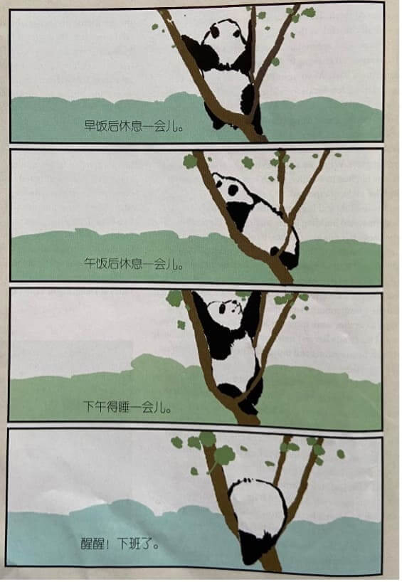 Giant Pandas || Ultimate Guide to China’s National Treasure